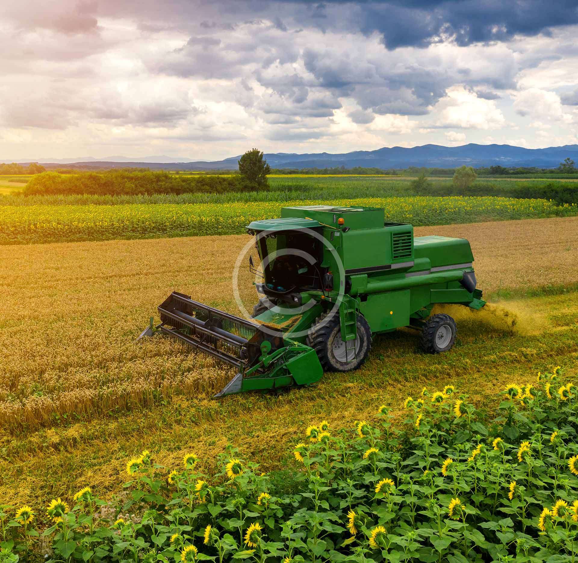 The Key to Improving Agricultural Productivity - ÉLEVAGE DE GARENNE